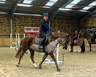 Hollybrooke Stud - News 2024